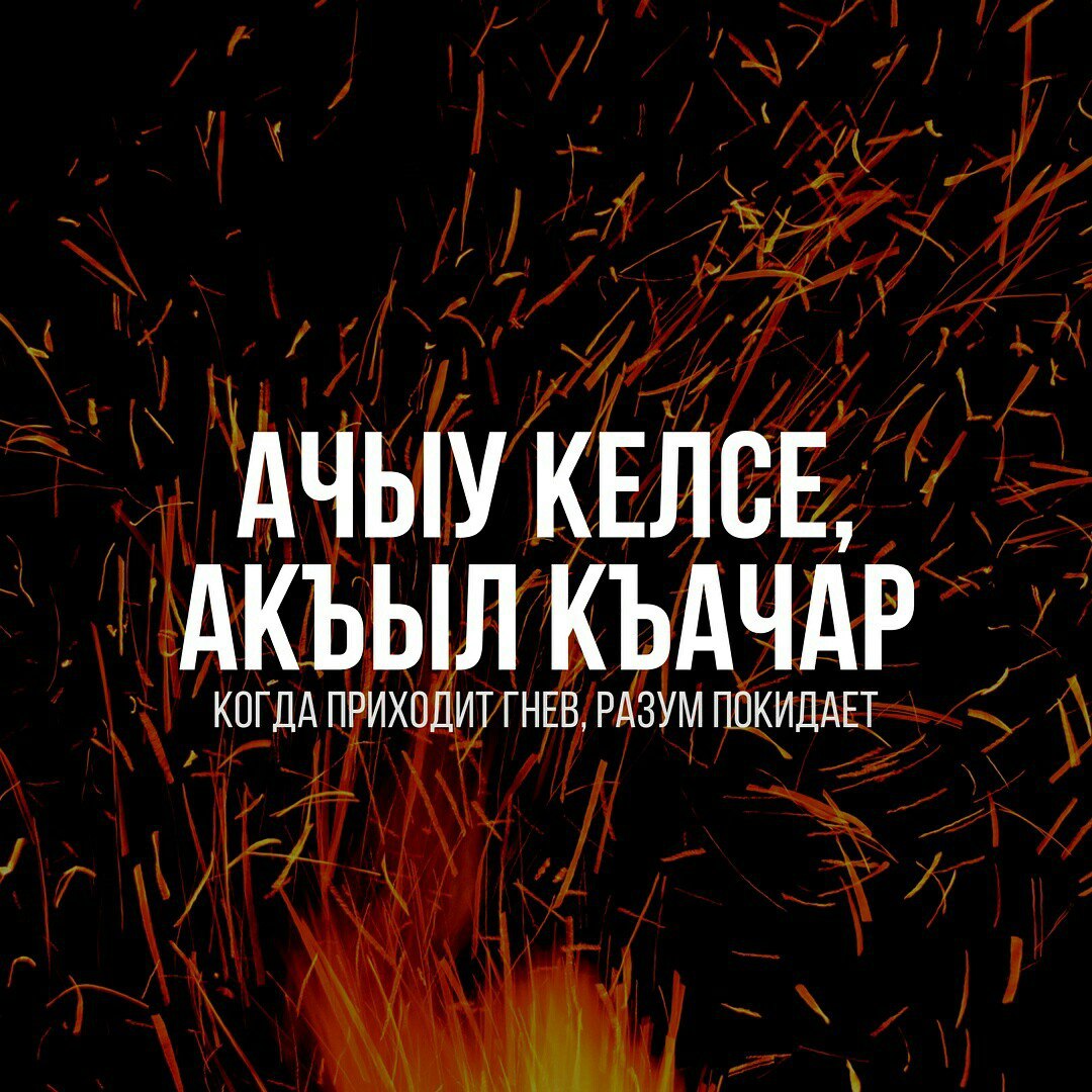 Barsel El Media
